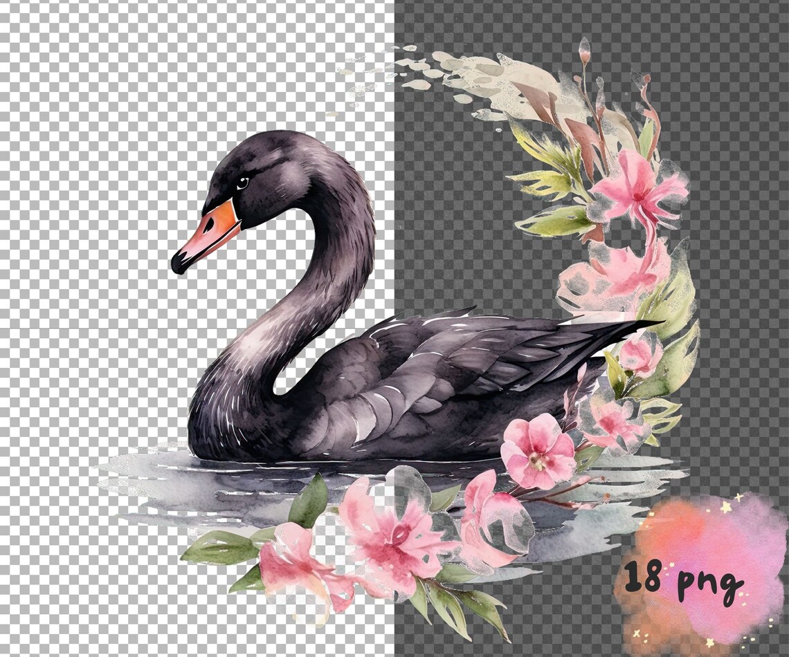 Swans Watercolor Clipart Cute Elegant Cartoon Black Swans - Etsy