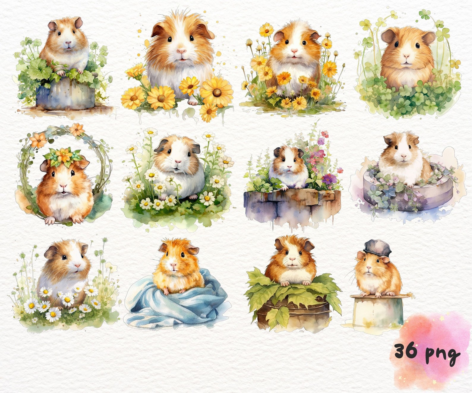 Chubby Guinea Pigs Watercolor Clipart Cute Kawaii Cartoon Guinea Pigs ...