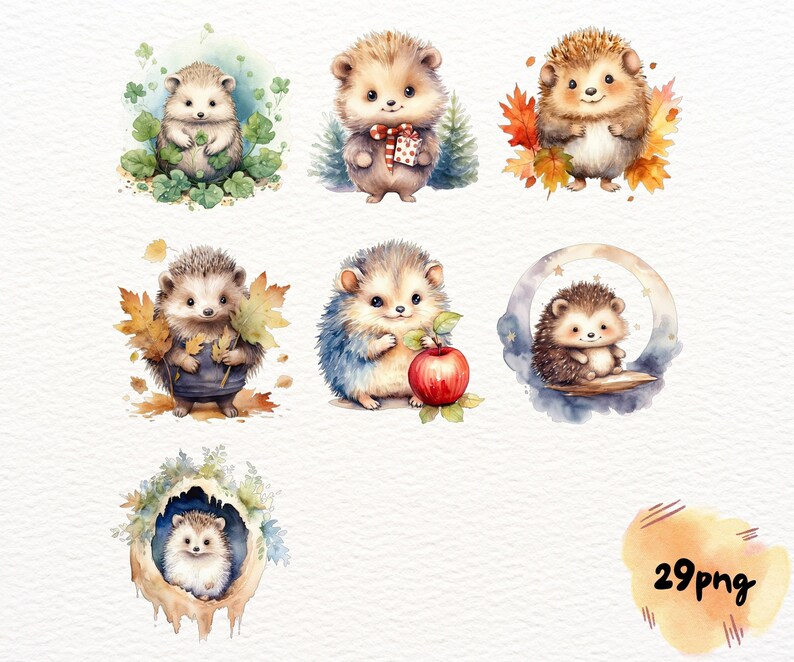 Chubby Hedgehogs Watercolor Clipart Cute Kawaii Cartoon Hedgehogs, Baby ...