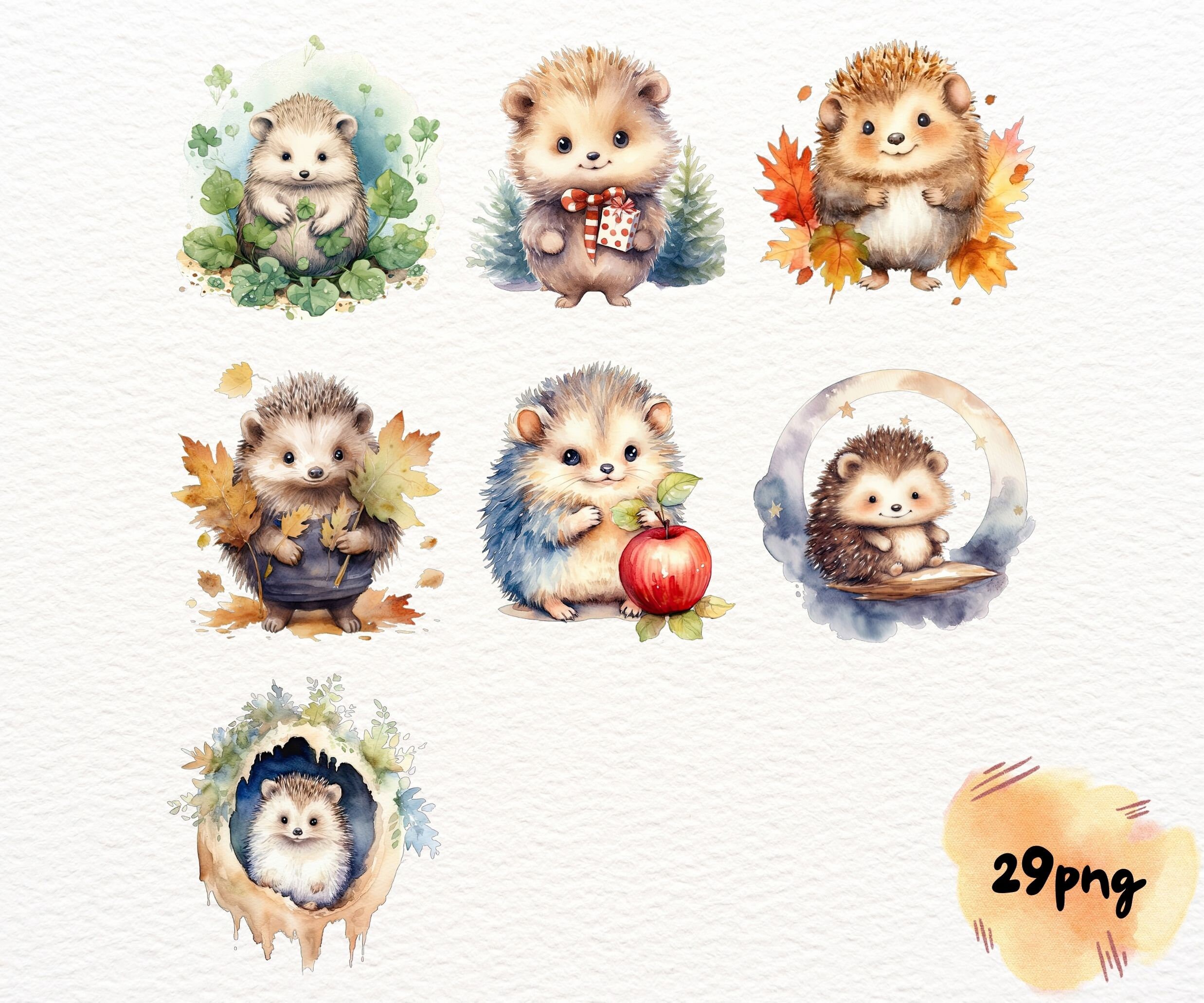 Chubby Hedgehogs Watercolor Clipart Cute Kawaii Cartoon Hedgehogs, Baby ...