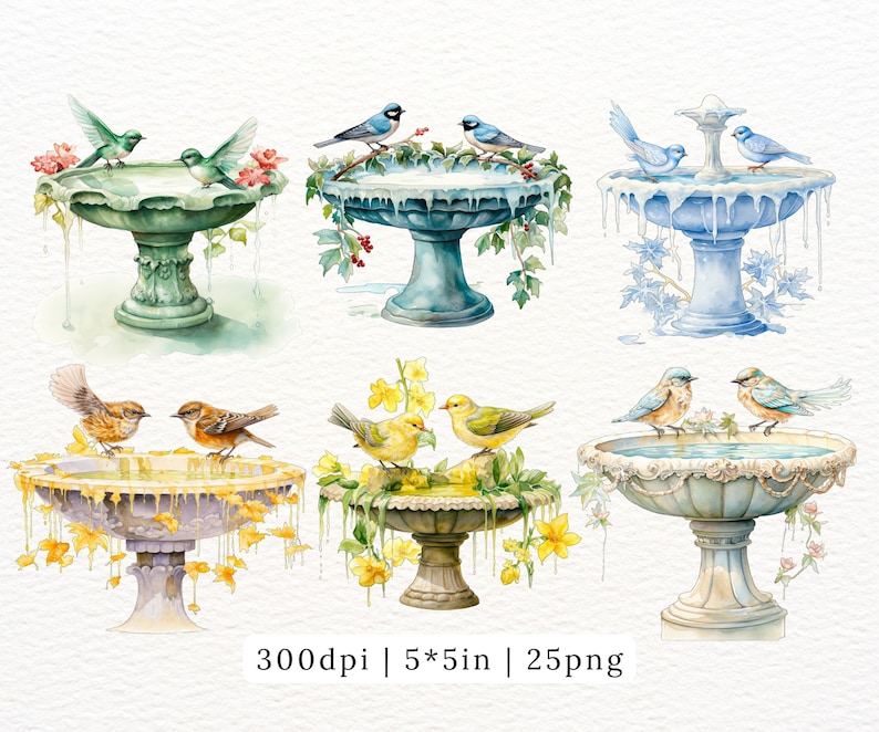 Watercolor Birdbath Clipart,vintage Bird and Fountain Png,seasonal ...