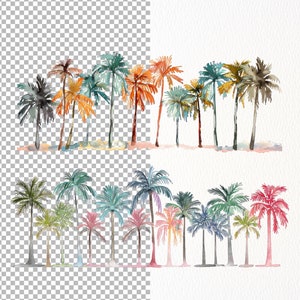 Colorful Watercolor Palm Tree Clipart, Tropical Summer PNG, Jungle ...