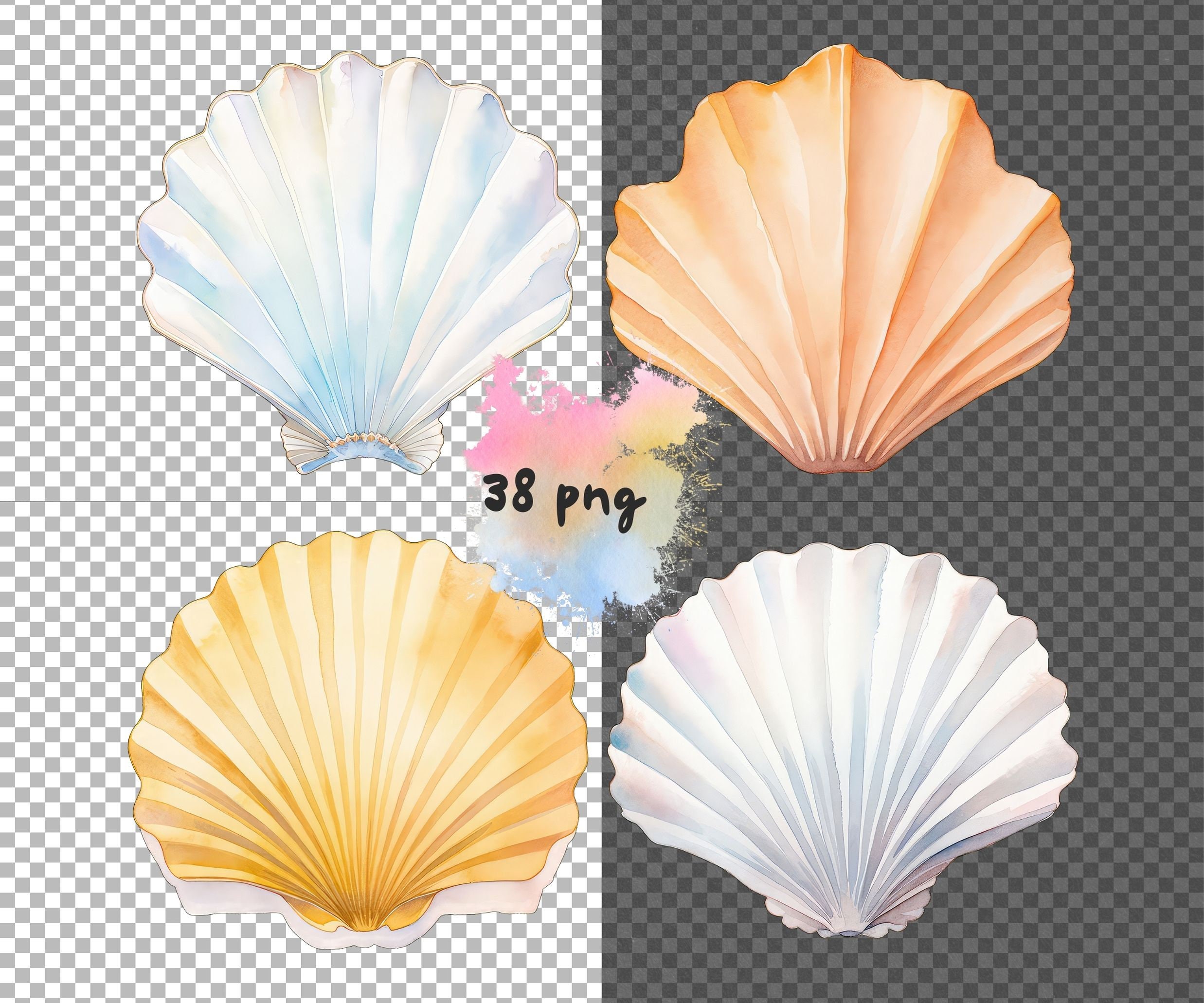 Watercolor Beach Treasures Clipart,sea Shells,sea Stars,corals ...