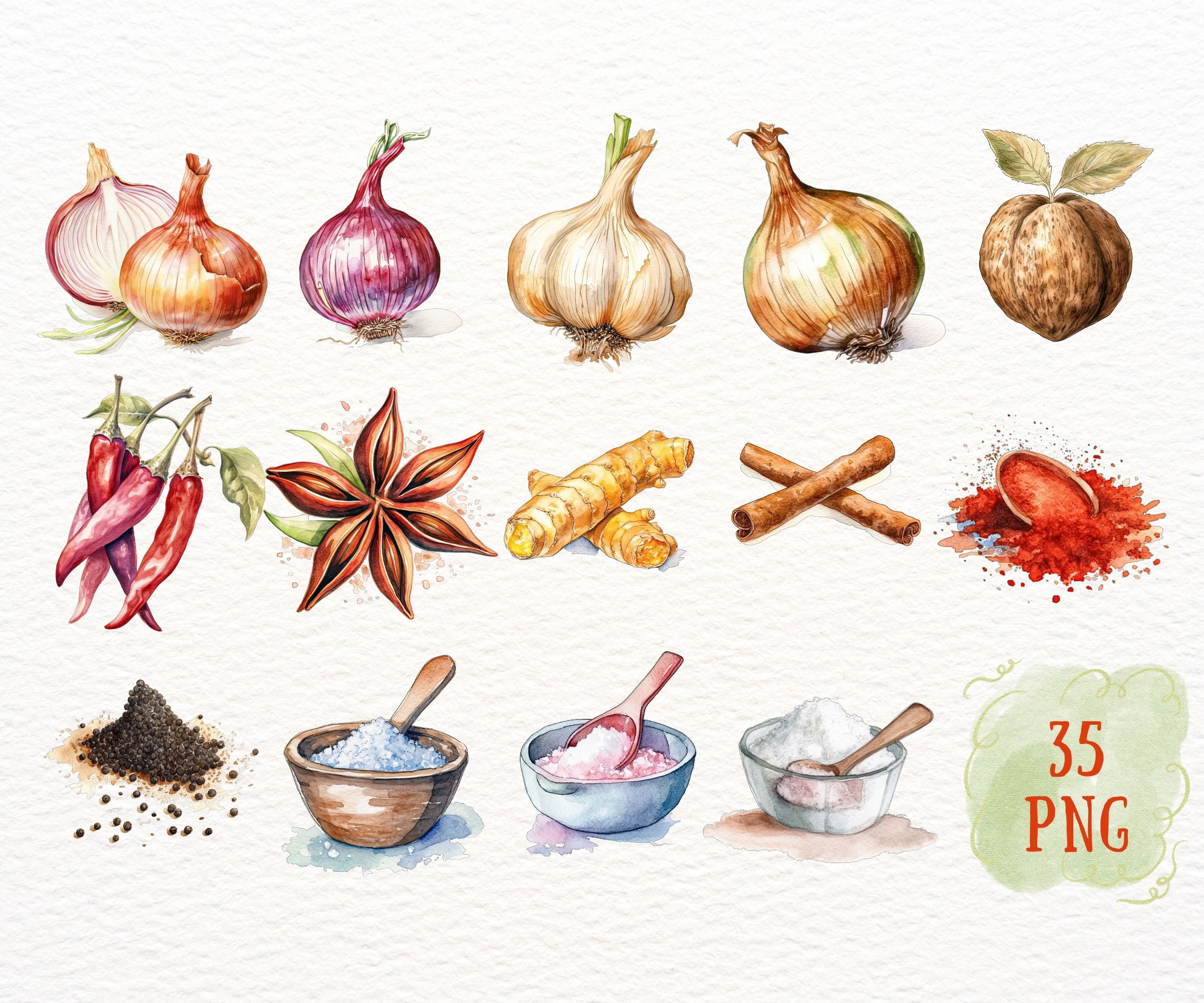 Herbs and Spices Watercolor Clipart, Chives, Basil, Garlic, Chili ...