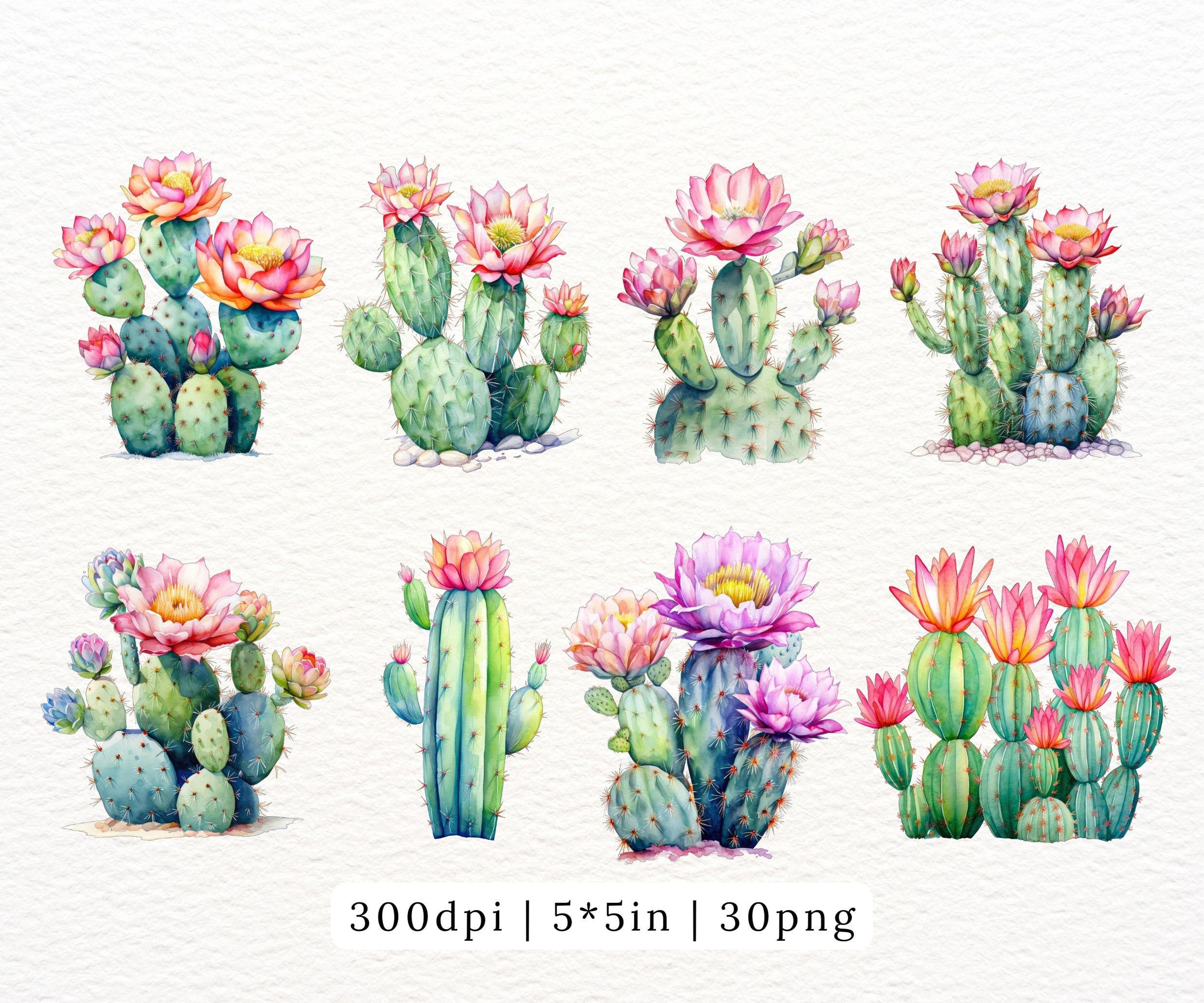 Watercolor Cactus Clipart - Desert Succulent PNG, Floral Cacti Stickers ...