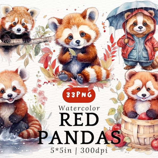 Red Panda Watercolor - Etsy