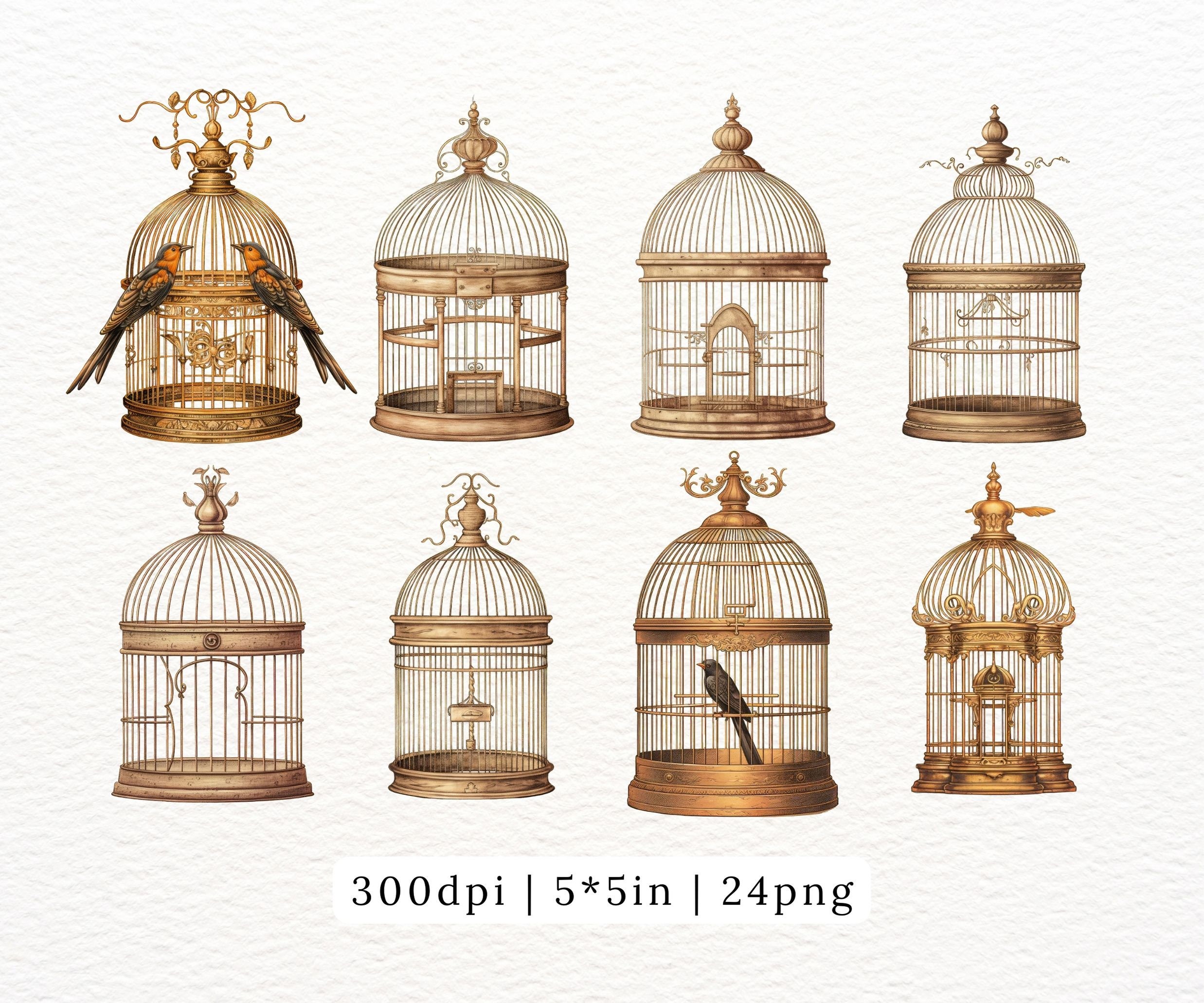 Watercolor Bird Cages, Vintage Shabby Antique Metal Bird Cage With ...