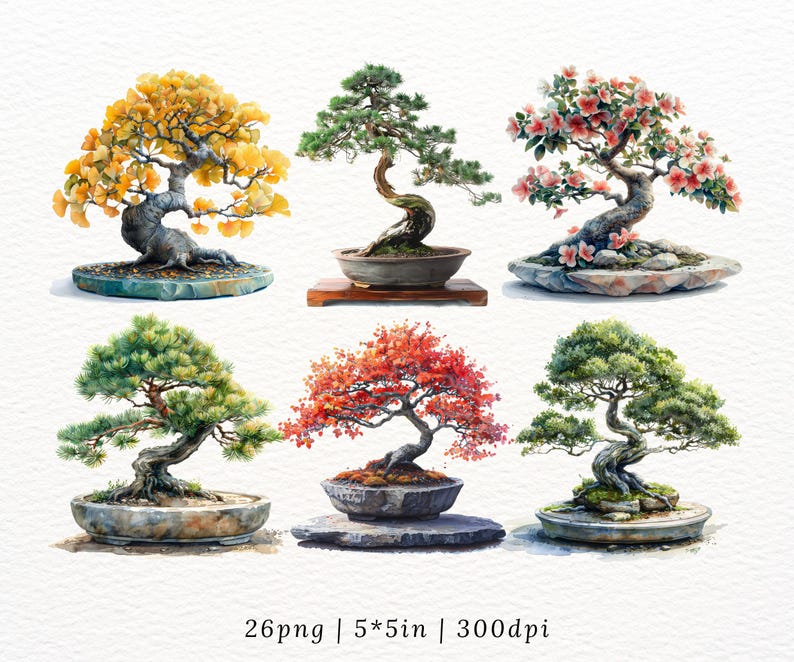 Watercolor Bonsai Tree Clipart - 26 PNG Miniature Tree Illustrations ...