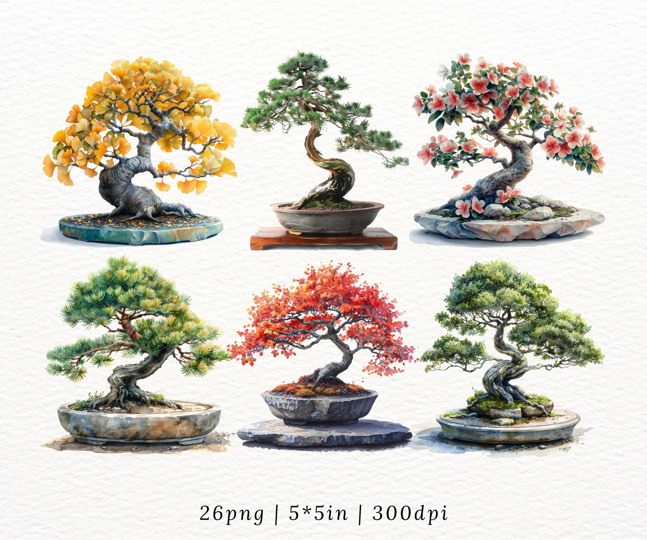 Watercolor Bonsai Tree Clipart - 26 PNG Miniature Tree Illustrations ...