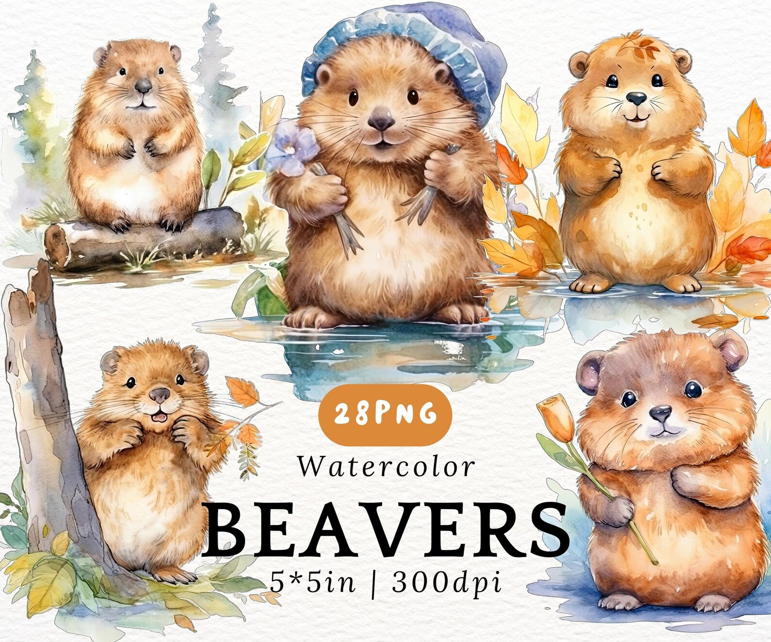 Chubby Beavers Watercolor Clipart - Cute Kawaii Cartoon Beavers, Baby ...