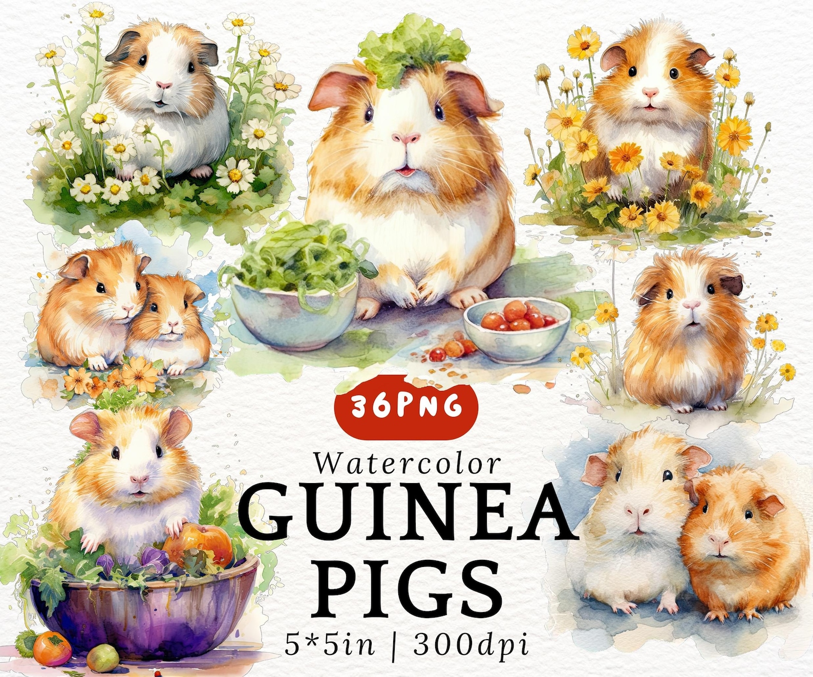 Chubby Guinea Pigs Watercolor Clipart Cute Kawaii Cartoon Guinea Pigs ...