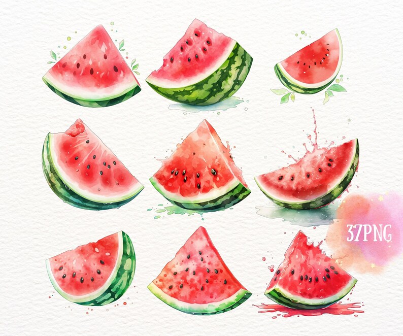 Watermelon Watercolor Clipart, Decorative Frame, Line, Leaf, Fruit ...