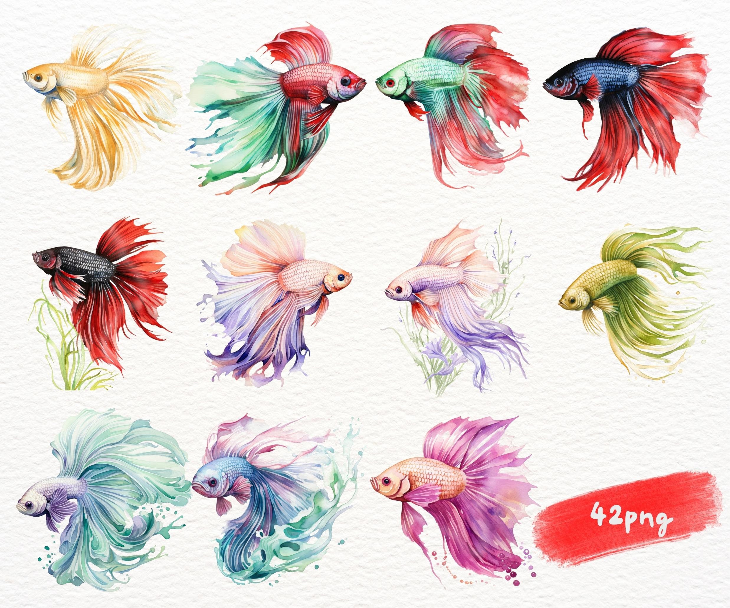 Watercolor Betta Fish Clipart Bundle , Colorful Vibrant Tropical ...