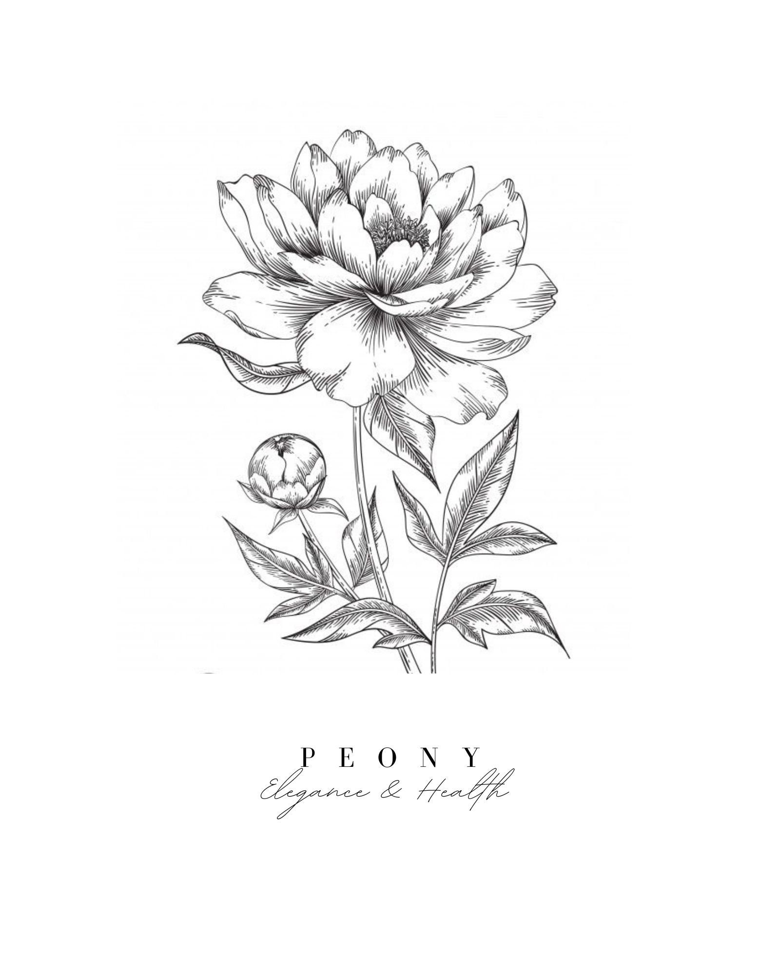 Peony Flower Floriography, Flower Print, Artwork, Botanical Meaning ...