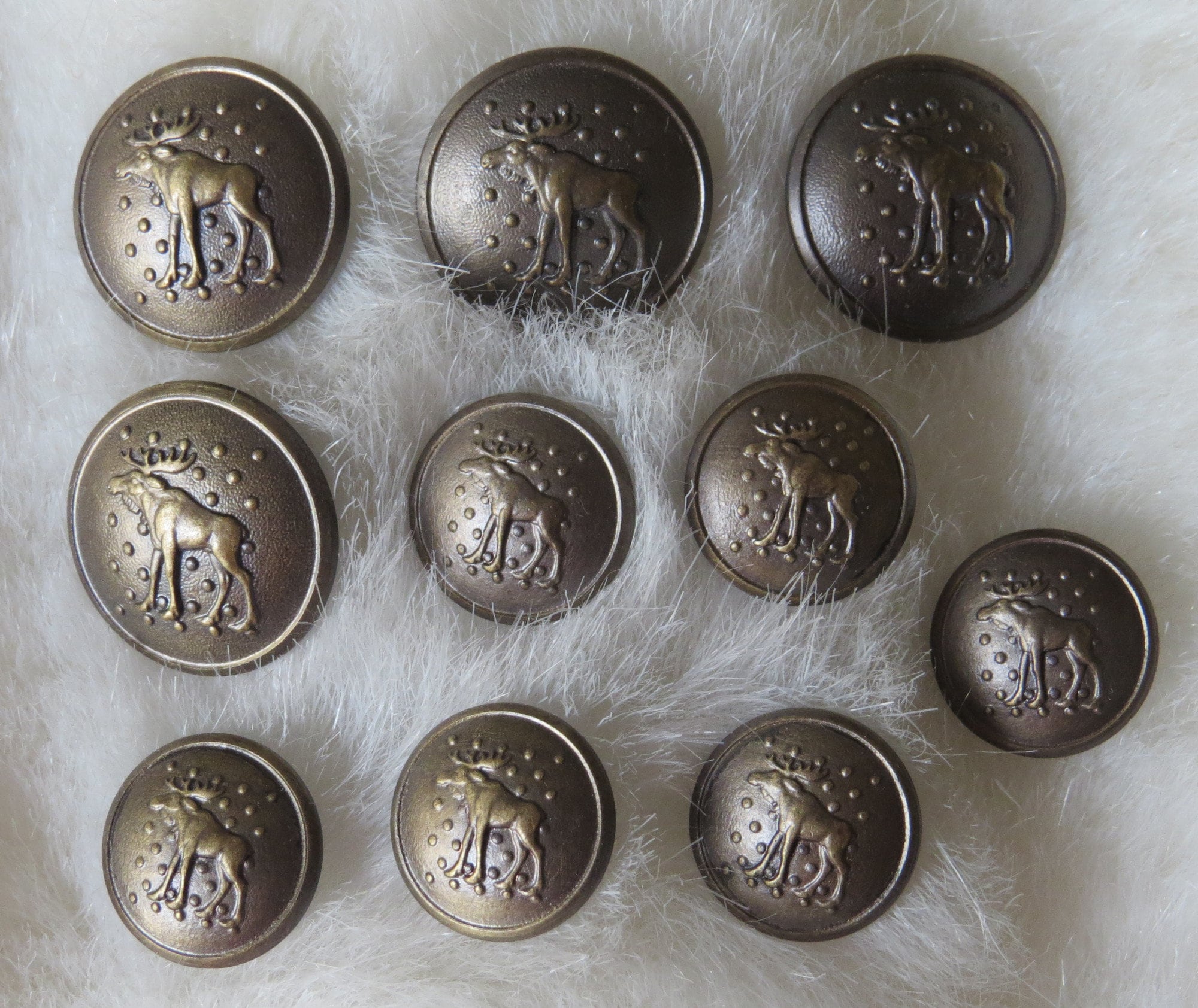 10 Moose Buttons by Sporrong & Co. - Etsy