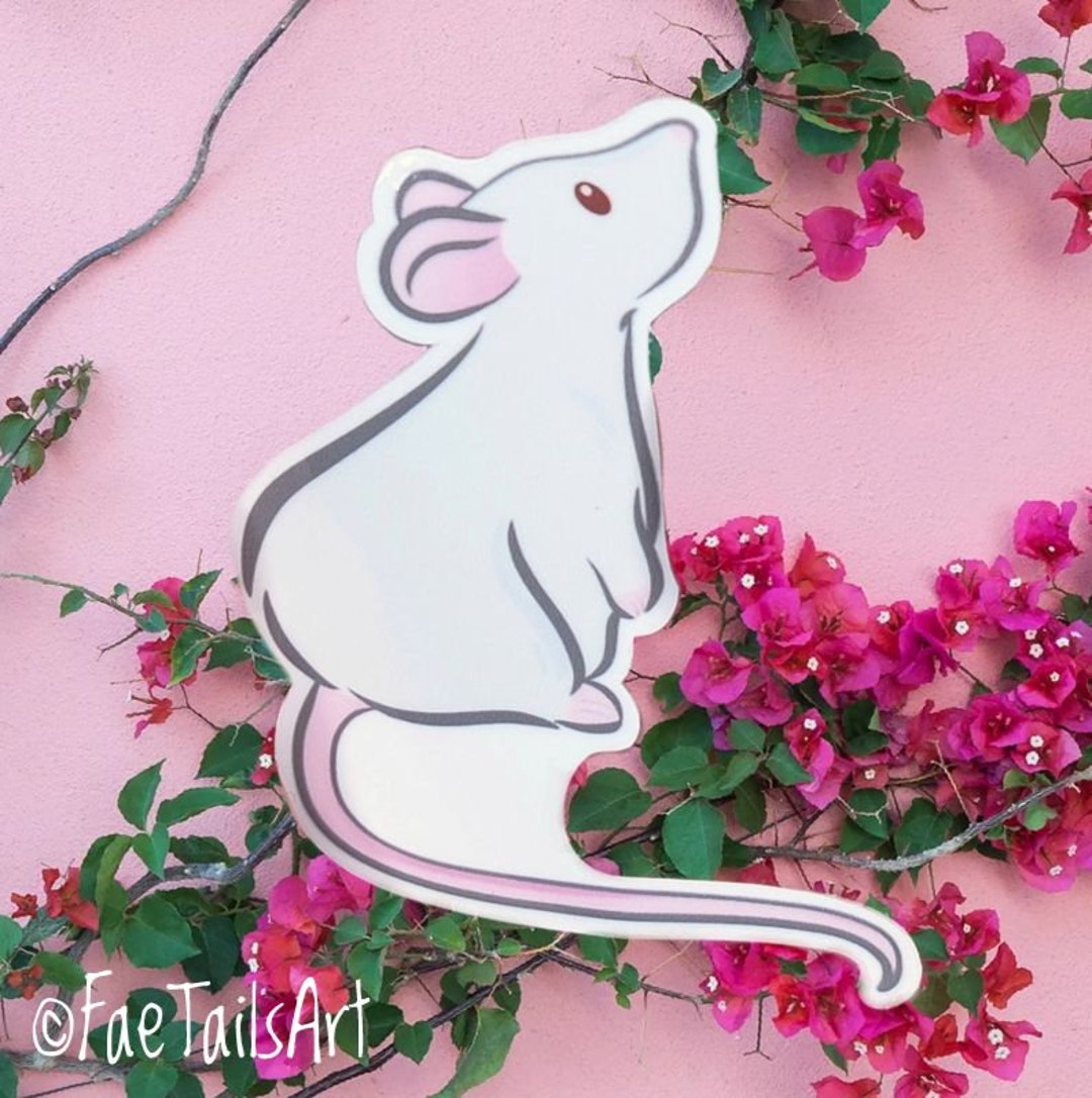 3' Inch White Rat Sticker: Albino Rat Chibi & Kawaii Style ...