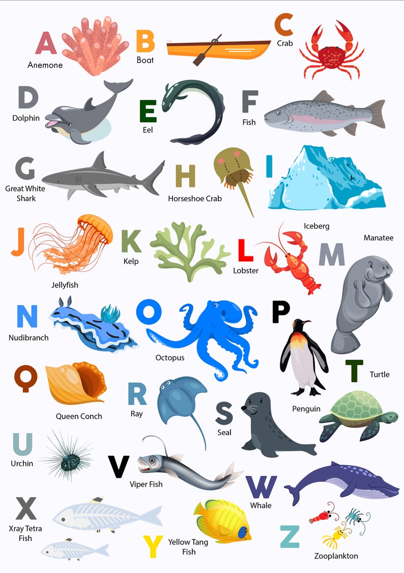 Sea Ocean Animals Alphabet Prints, Sea Animals Nursery Wall Art, Sea ...