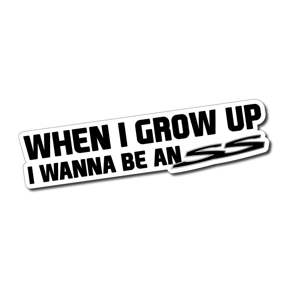 When I Grow up Sticker Decal Vinyl Funny Truck Rig Ute 4x4 off Road ...