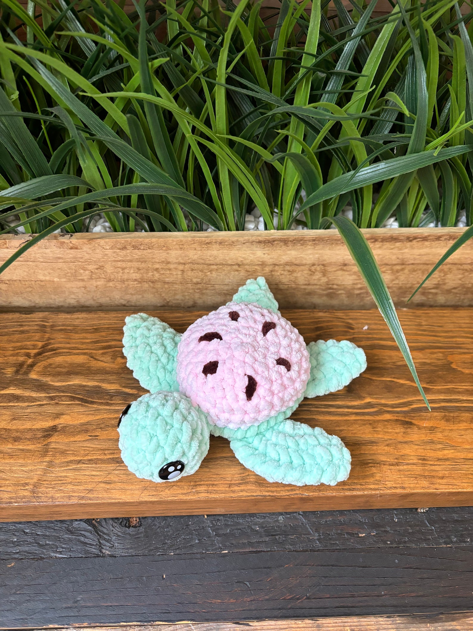 Watermelon Turtle Crochet Pattern - Etsy