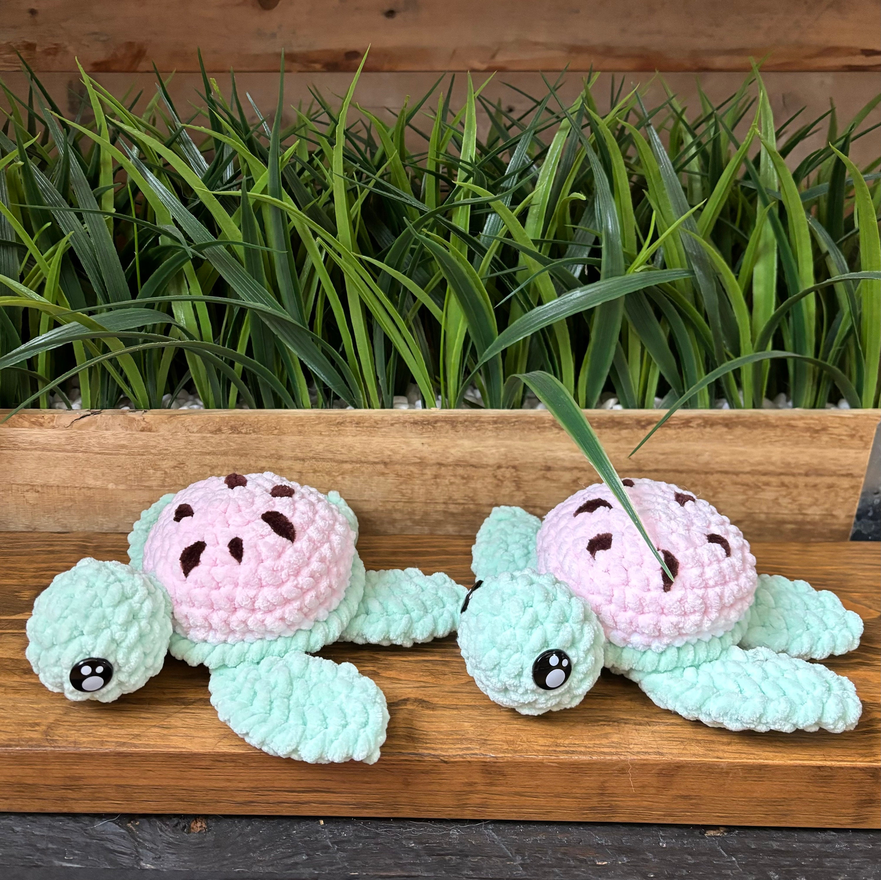 Watermelon Turtle Crochet Pattern - Etsy
