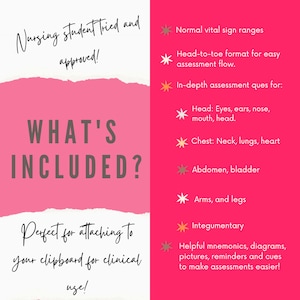 Adult Assessment Cheat Sheet for Nursing Students! Made by a Nursing ...
