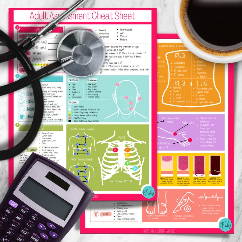 Adult Assessment Cheat Sheet for Nursing Students! Made by a Nursing ...