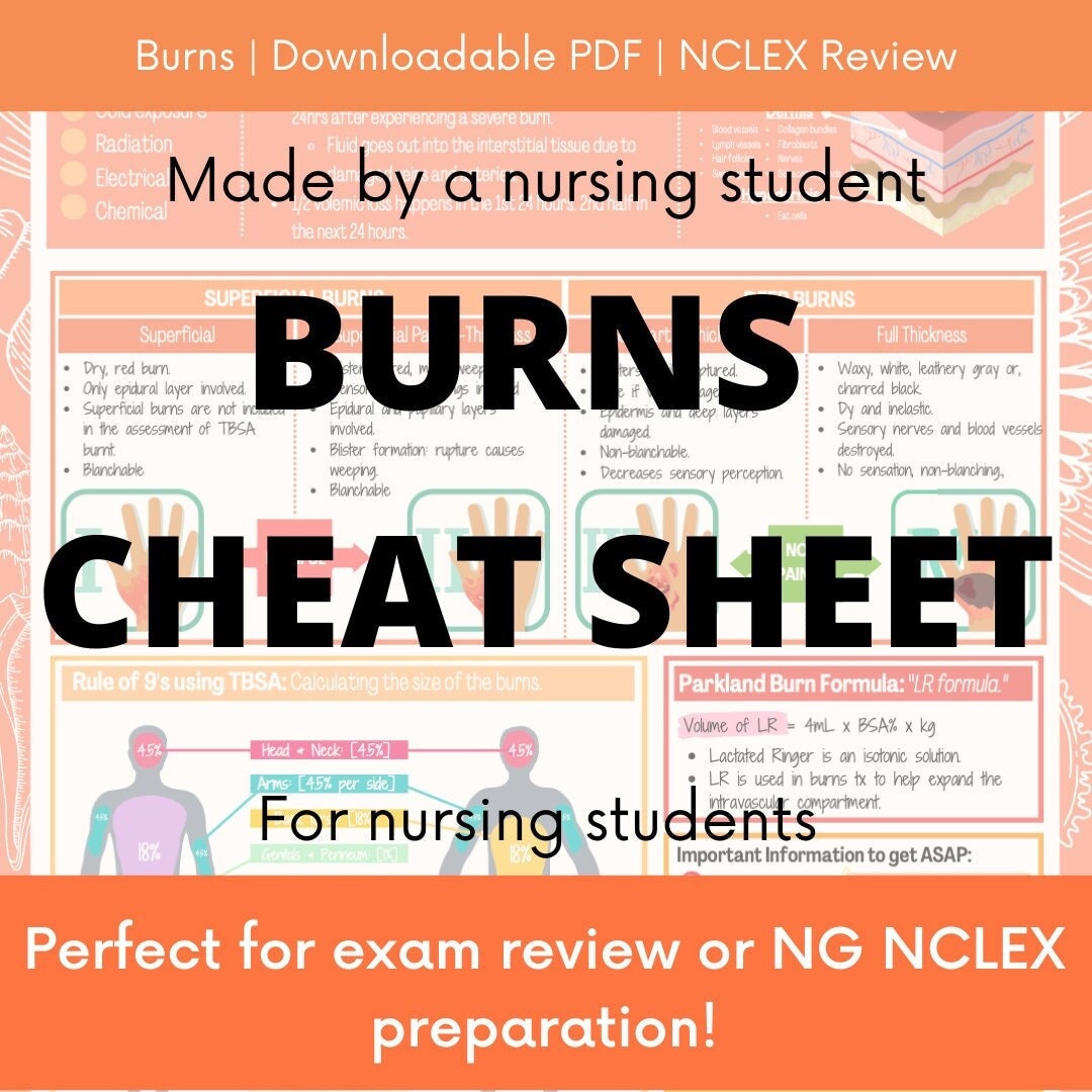 Burns Cheat Sheet PDF! Made for Nursing Students BY a Nursing Student! - Etsy