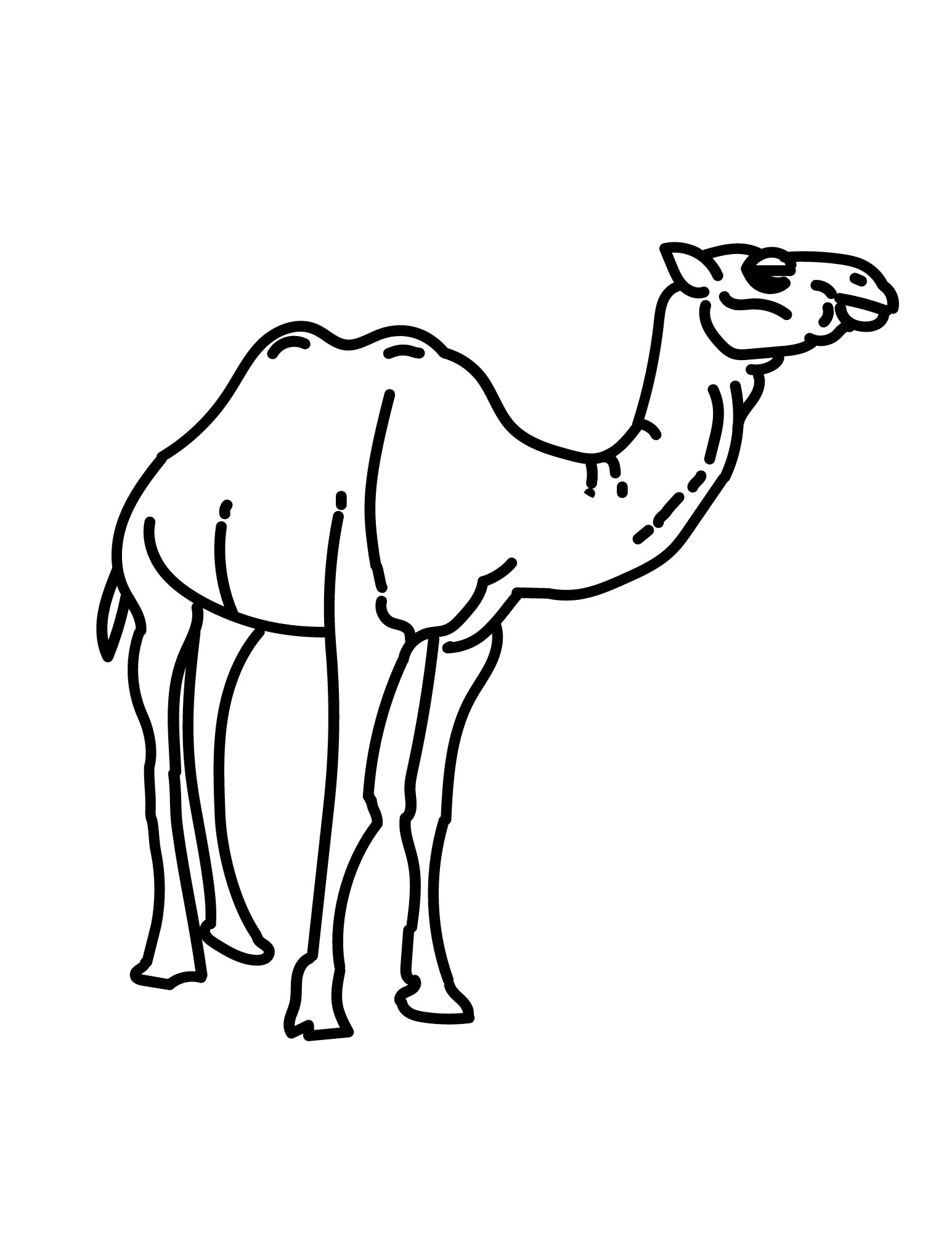 20 Kids Animal Coloring Pages - Etsy