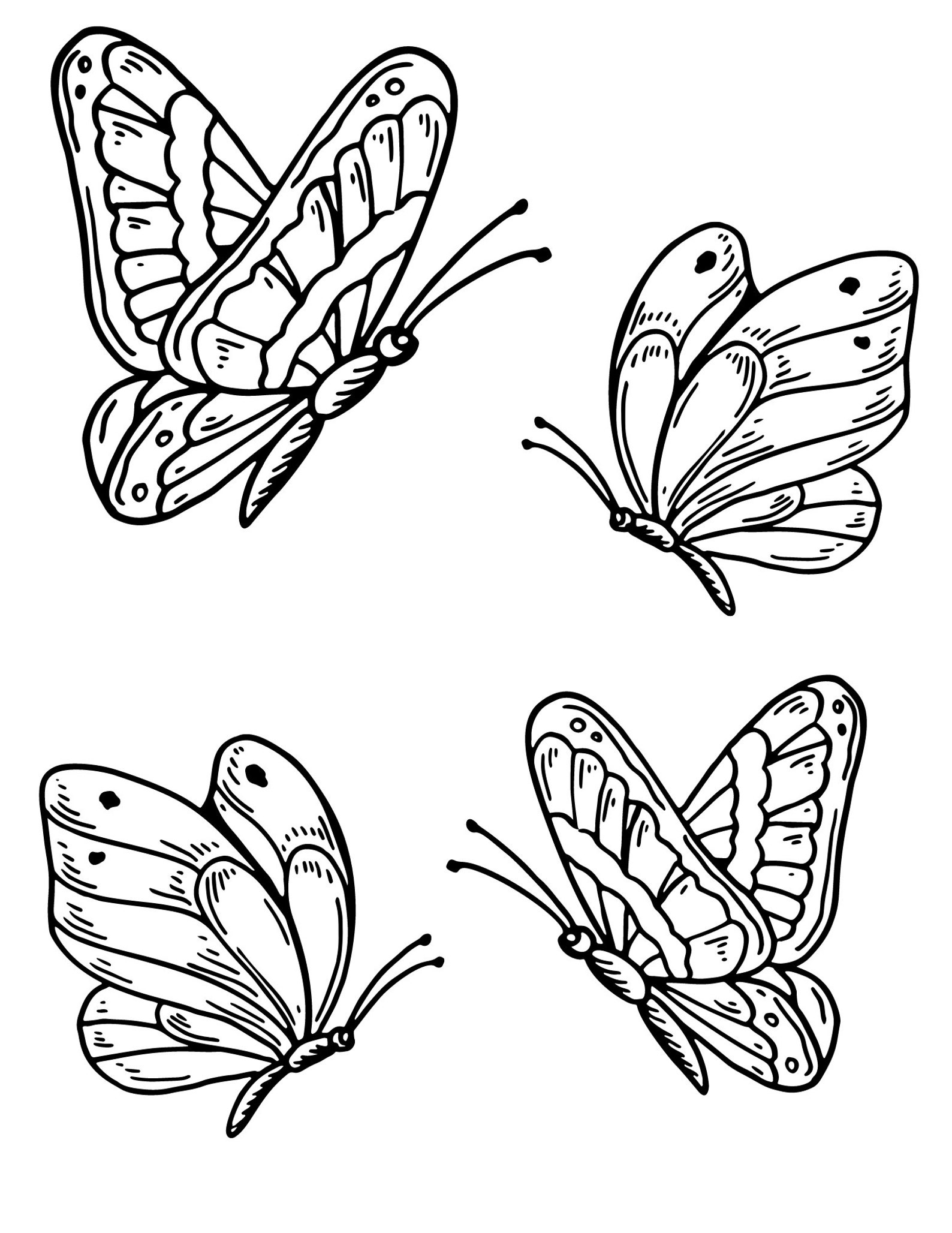 5 Printable Pages of Butterfly's for Coloring - Etsy