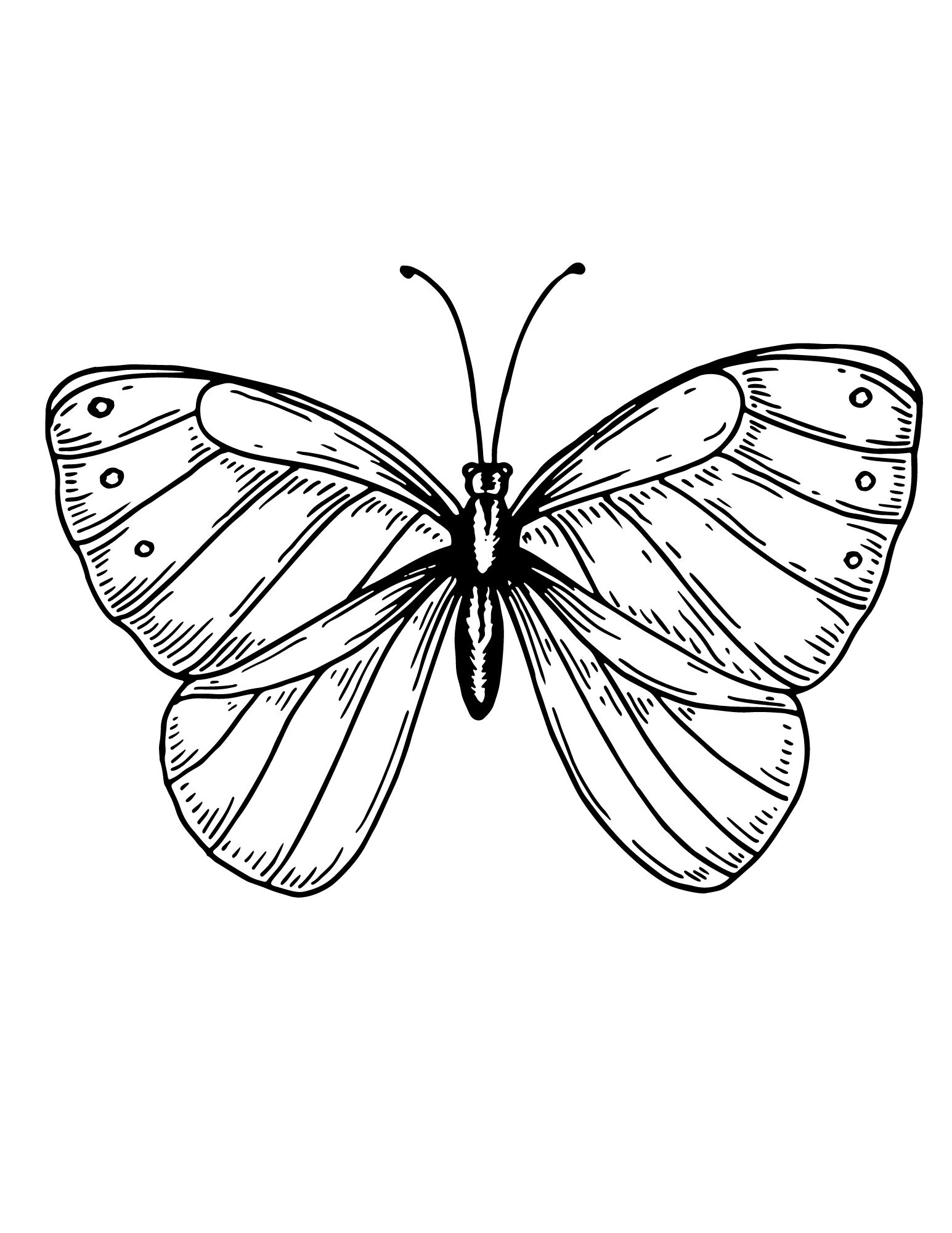 5 Printable Pages of Butterfly's for Coloring - Etsy