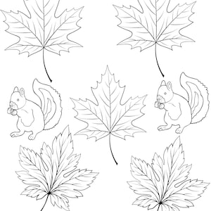 5 Printable Pages of Fall Season Theme for Coloring Fun - Etsy