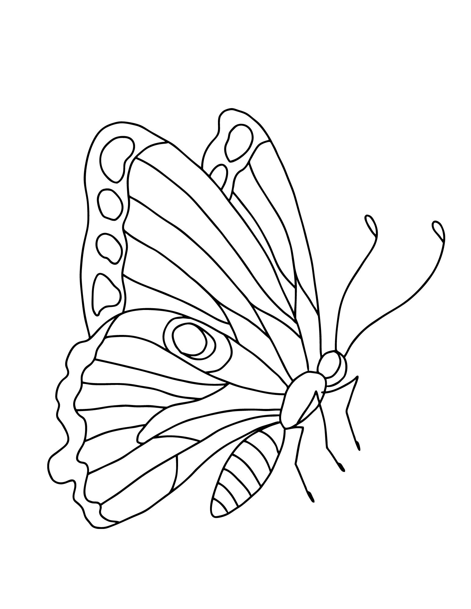 5 Printable Pages of Butterfly's for Coloring - Etsy