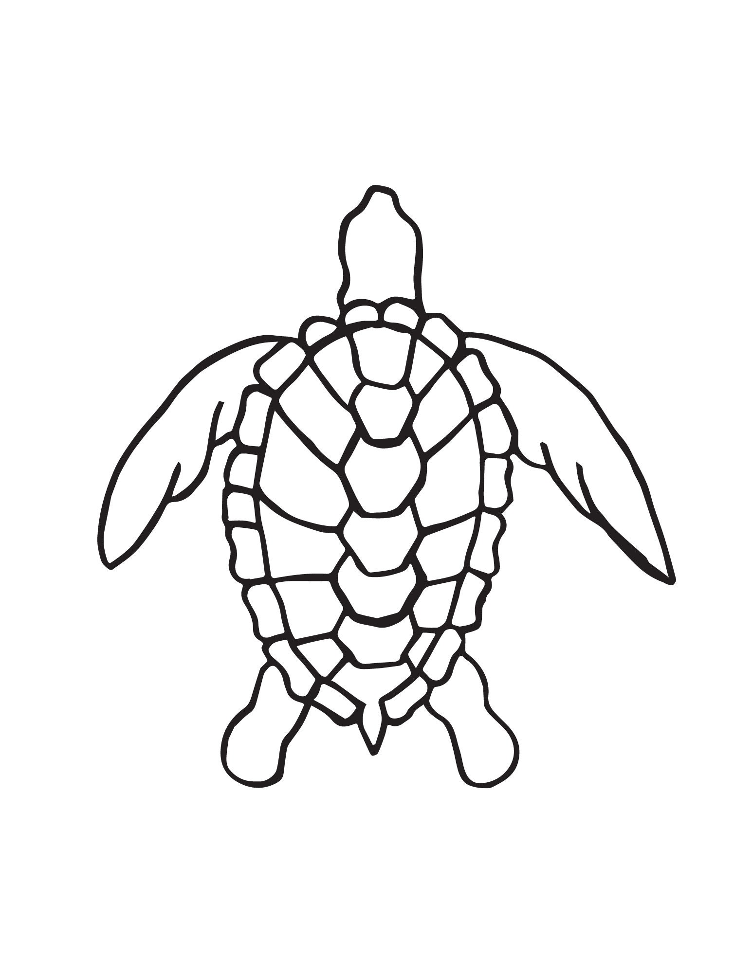 5 Printable Coloring Pages of Turtles for Coloring - Etsy