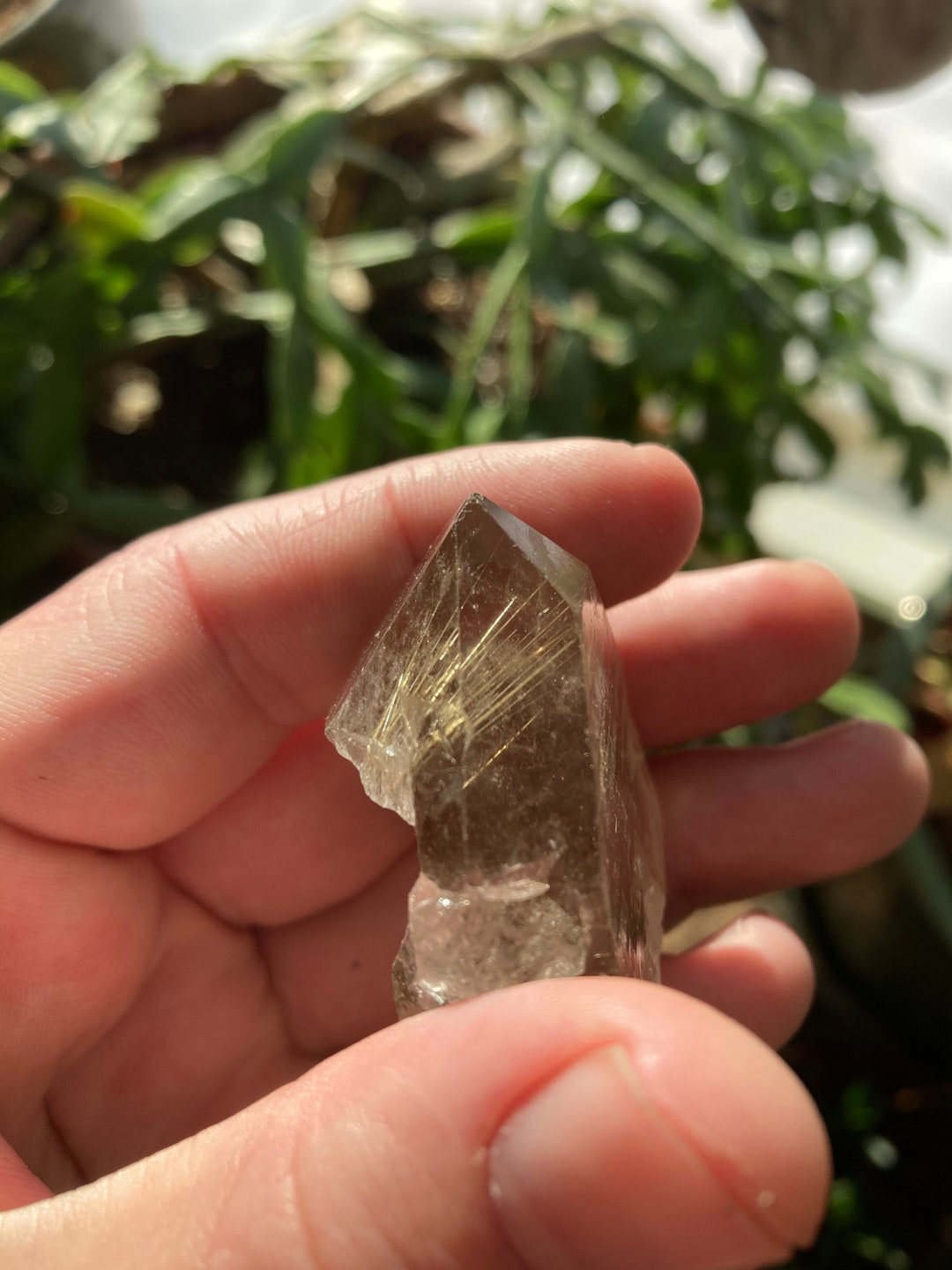 Quartz With Rutile Inclusions From Brazil - Etsy