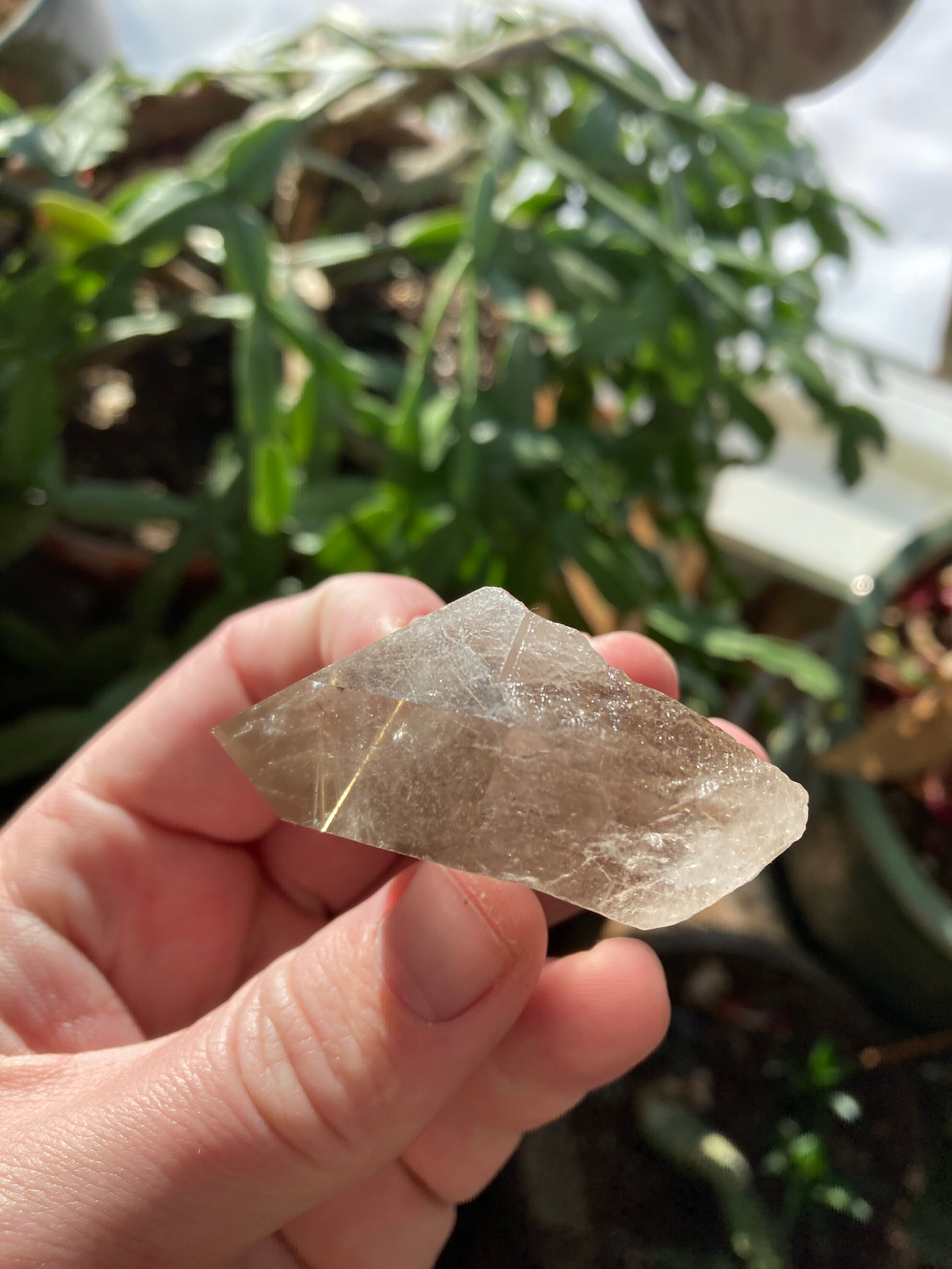 Quartz With Rutile Inclusions From Brazil - Etsy