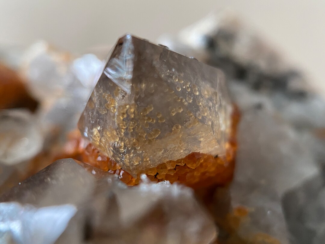 Smoky Quartz With Etched Orange Spessartine Garnet Inclusions on Matrix ...