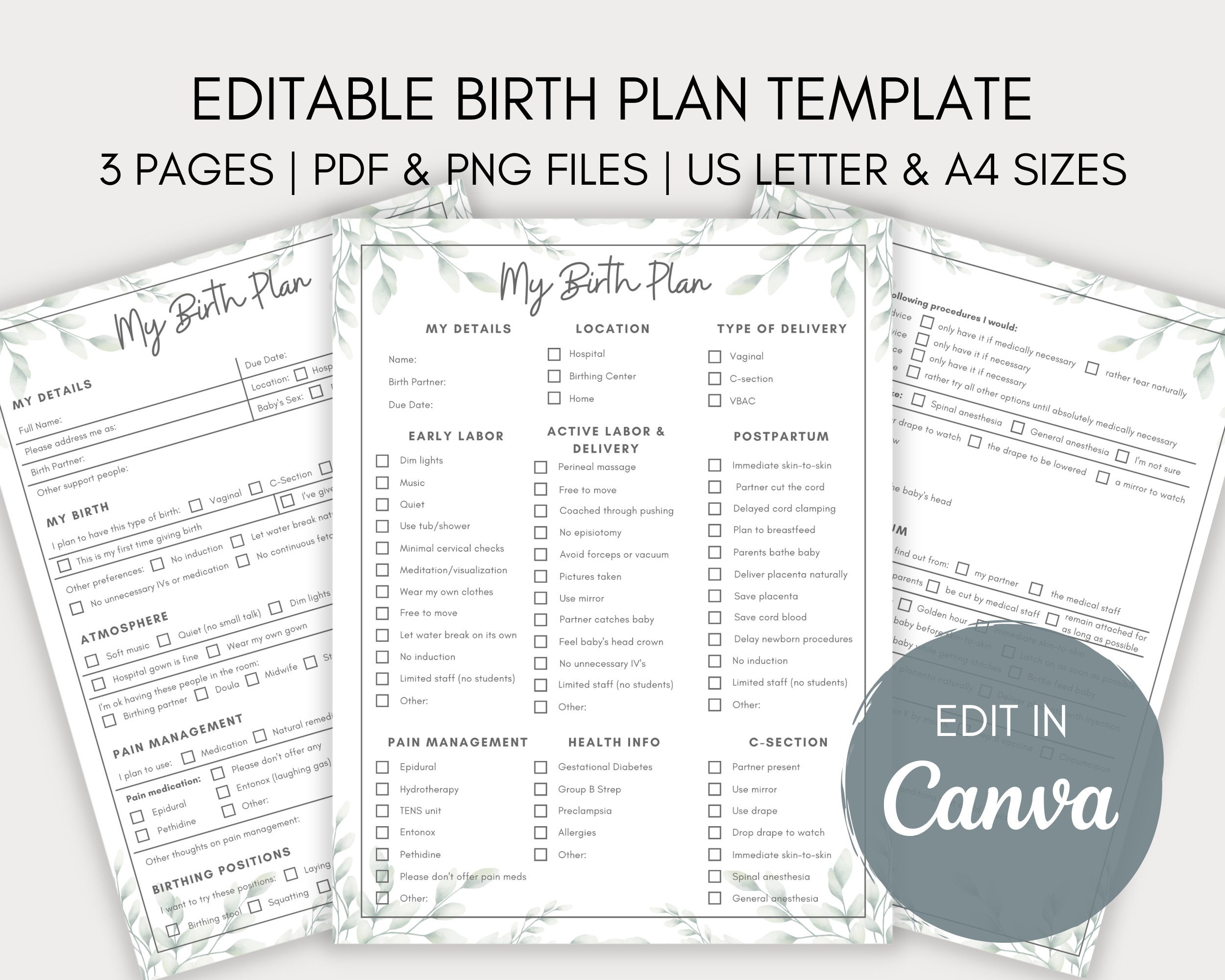 Printable Birth Plan Template, Edit on Canva, Fillable Template, Labor ...