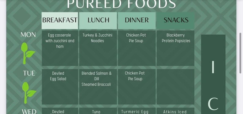 Bariatric Surgery Pureed Diet Meal Plan - Etsy