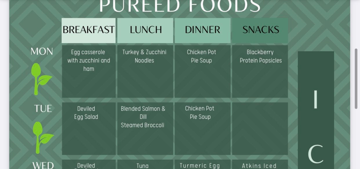 Bariatric Surgery Pureed Diet Meal Plan - Etsy