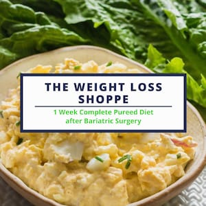 Bariatric Surgery Pureed Diet Meal Plan - Etsy