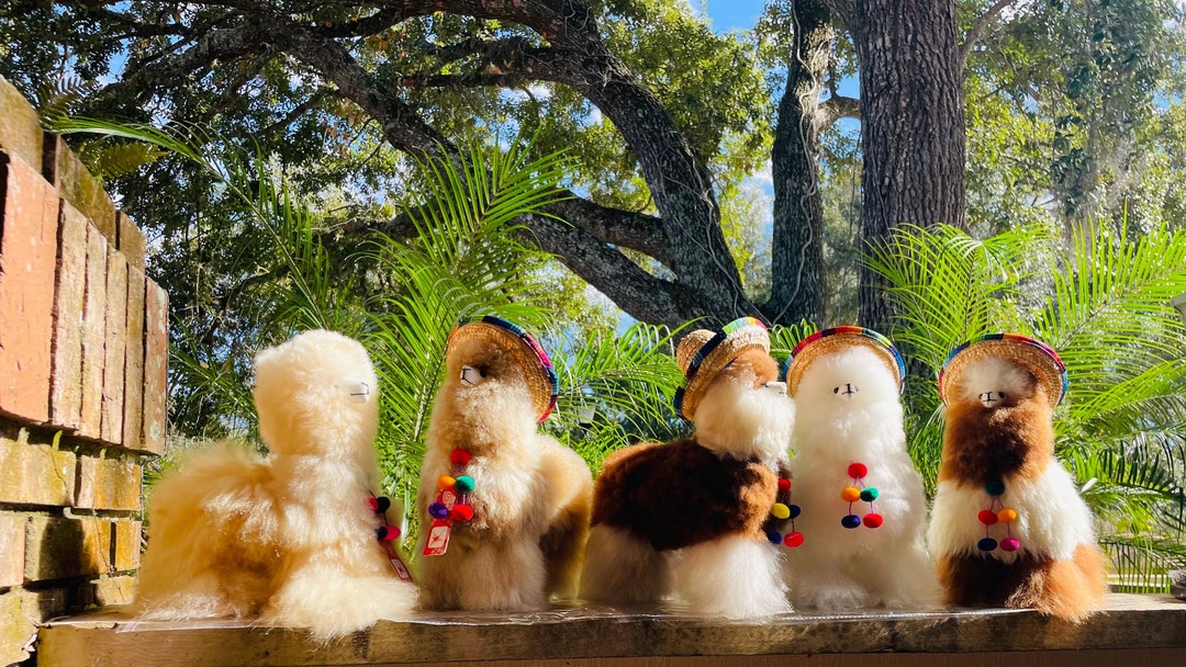 100% Real Alpaca Fur Rare Find - Etsy