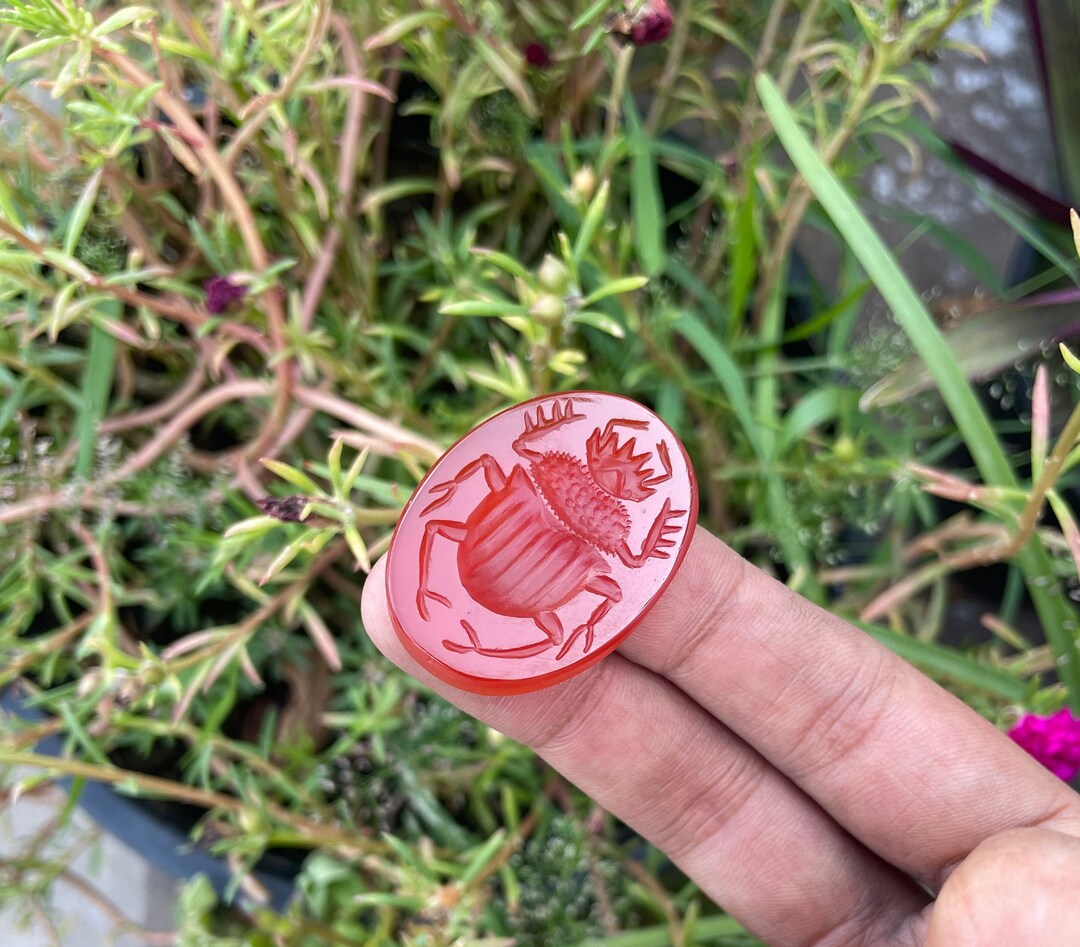 Beautiful Bug Carving in Red Onyx Gemstone Cabochon Loose for Jewelry ...