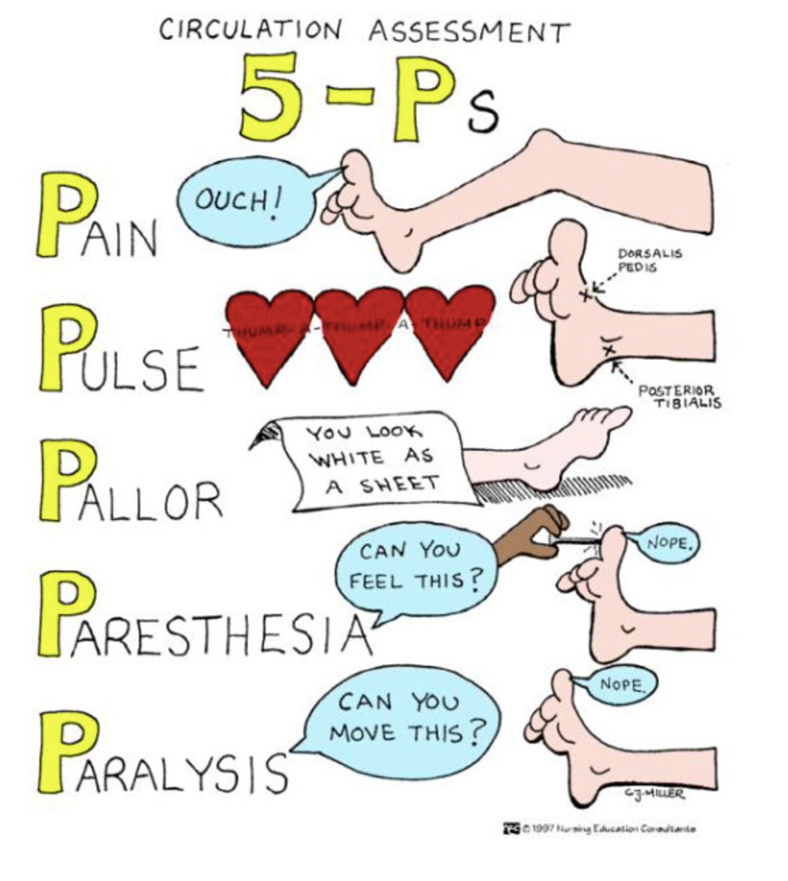 Nursing Mneumonic Picture Booklet PDF - Etsy