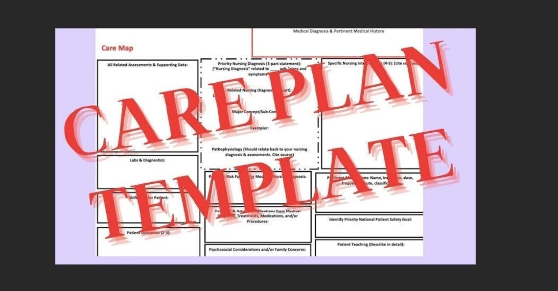 Care Map/ Care Plan Blank Template - Etsy Australia