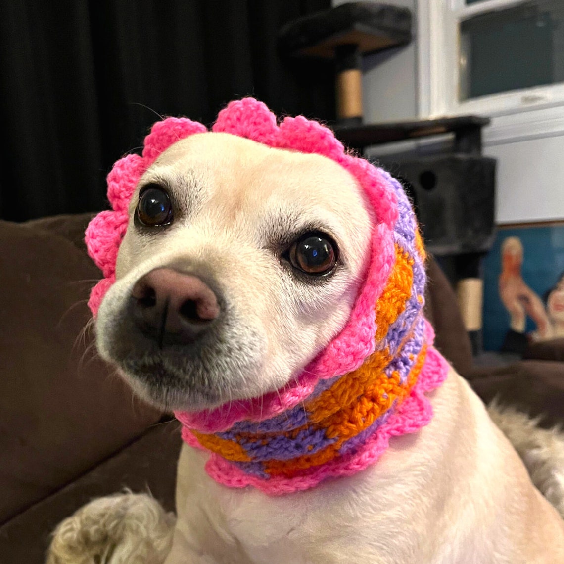 Checkered Dog Snood CROCHET PATTERN - Digital PDF Only - Etsy