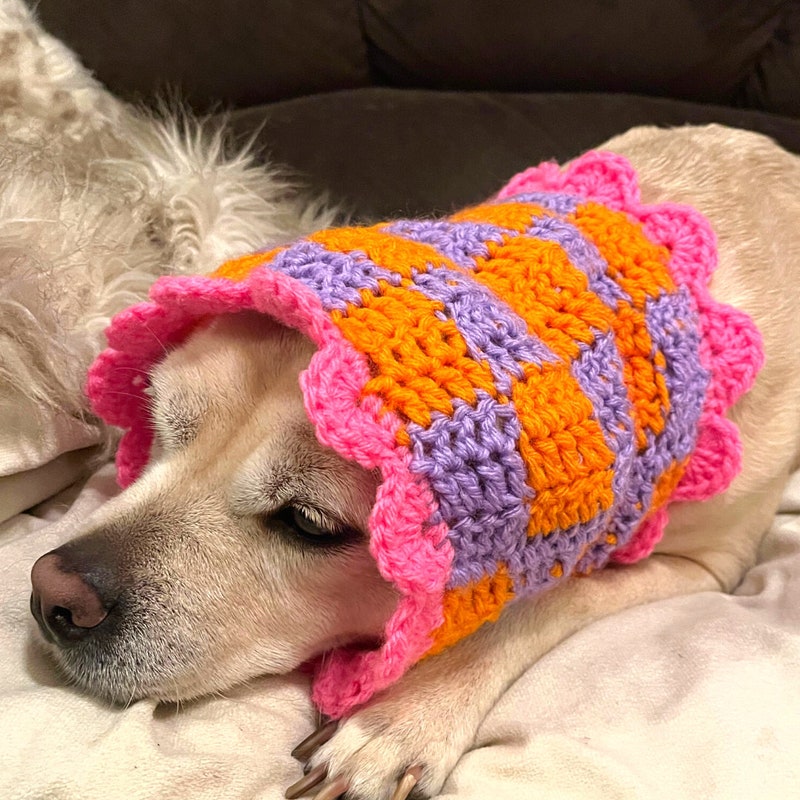 Dog Snood Pattern - Etsy