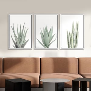 3 Piece Framed Canvas Wall Art Set, Green Succulent Plant Prints ...