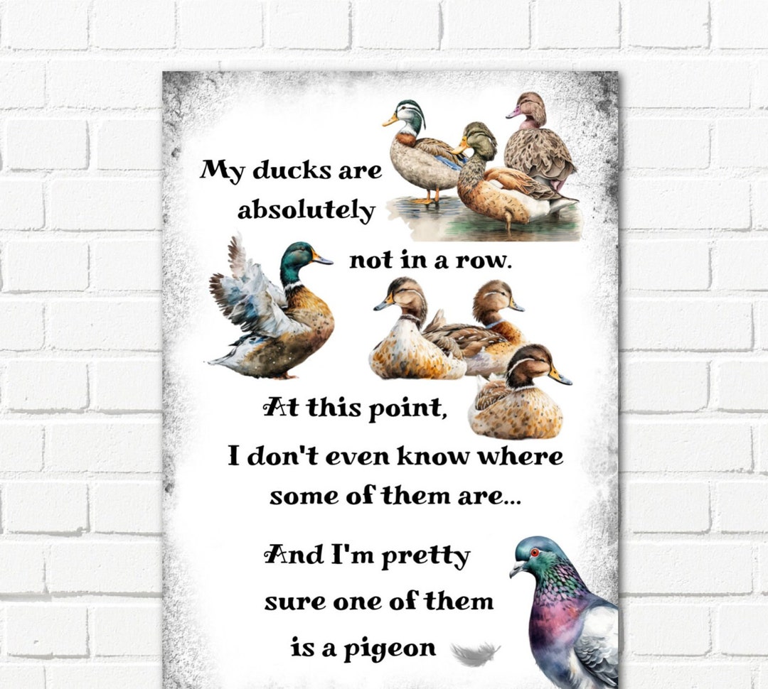 Garden/indoor Ducks Metal Sign Novelty Gift Idea 27cm X 20cm - Etsy