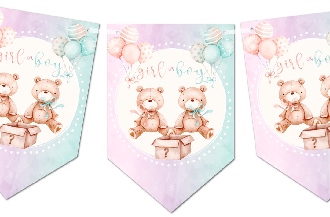 Baby's Gender Reveal Pink & Mint Teddy Boy or Girl Bunting and Ribbon ...