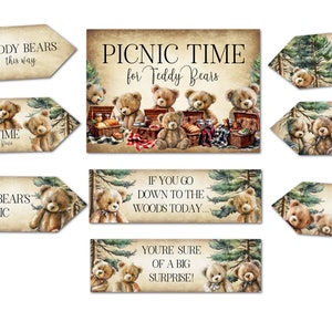 Set of Teddy Bear's Picnic Arrows & Signs Party Decorations - Etsy